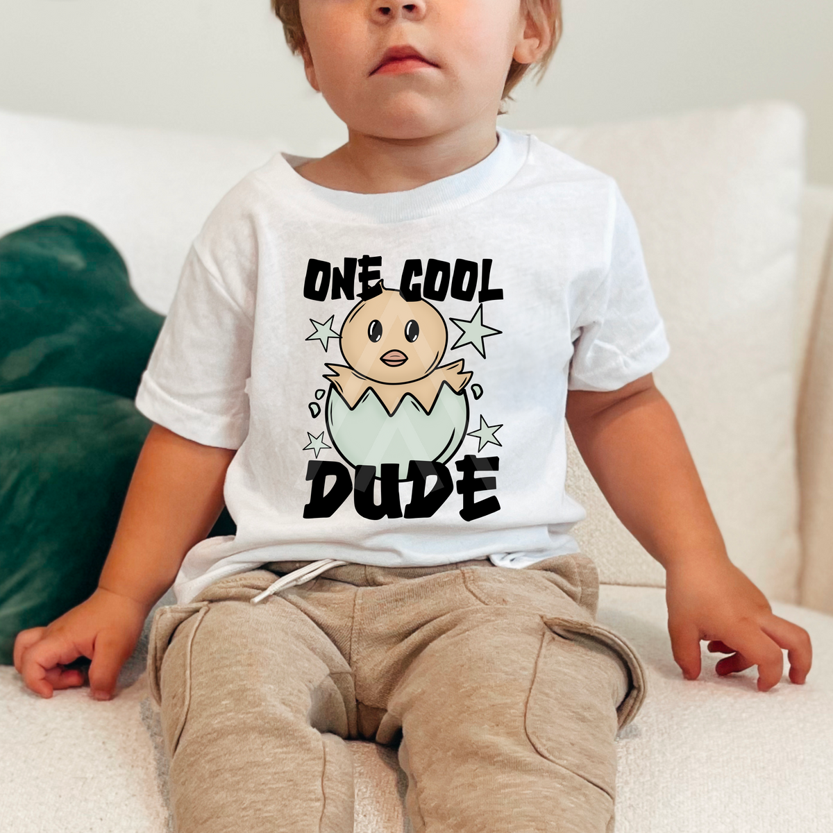 One Cool Dude – Up North Screen Prints